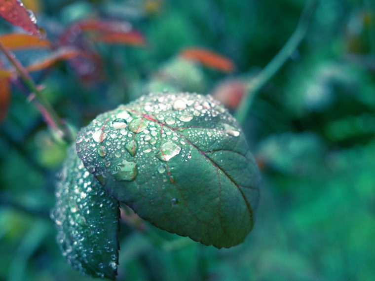 メルカリ売買の取引とやり取りに思う中古市場と適材適所｜JIVE creative